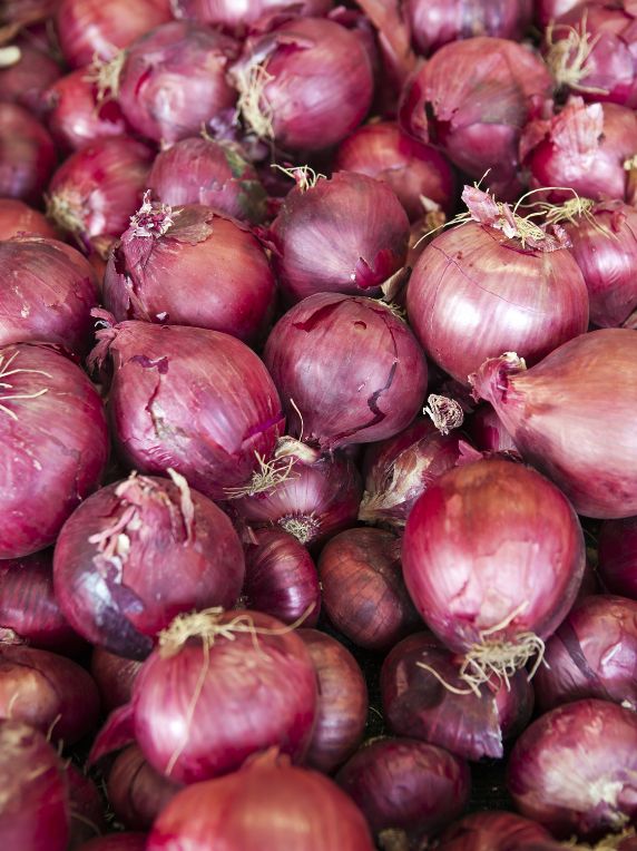 Onion – MB MART